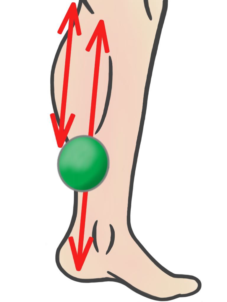 Soft Tissue Therapy - Ball Rolling over Calf - Prehab Exercises