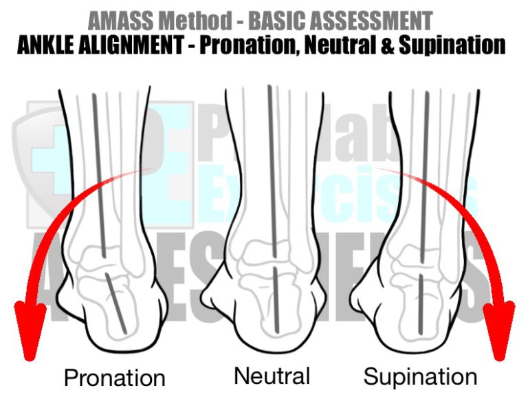 prehab-exercises-amass-method-basic-assessment-for-running-ankle ...