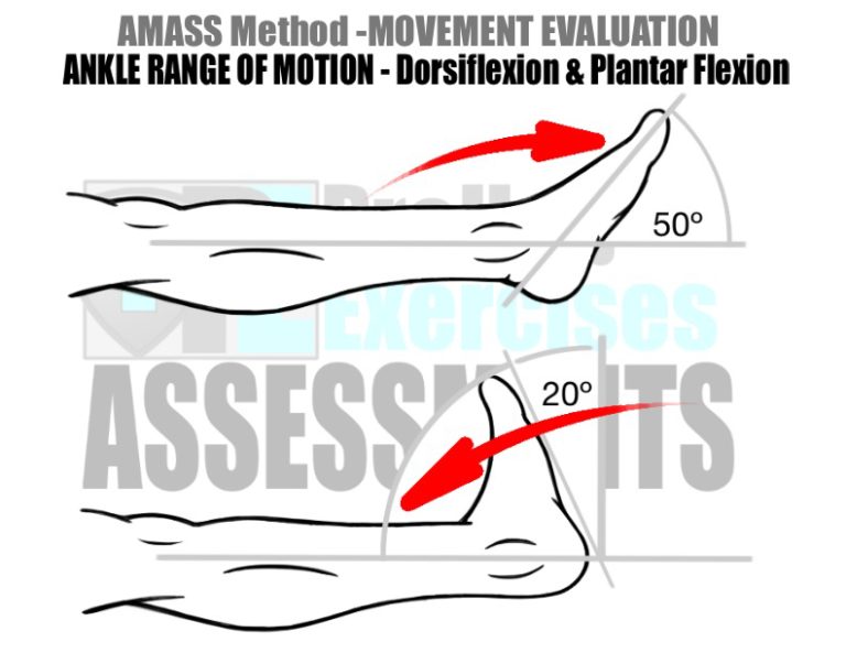 Basic Assessments And Movement Evaluations For Runners Prehab Exercises