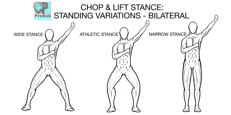 Alignment - Chop and Lift Stance - Bilateral Standing Variations ...