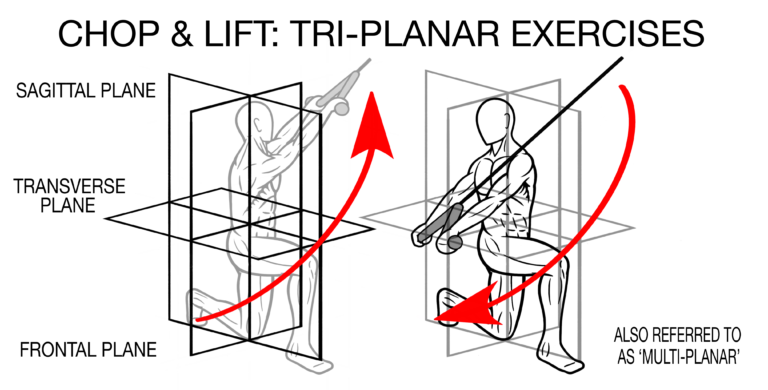 PreHab Exercises - Chop and Lift - Tri-planar and Multiplanar Exercises ...