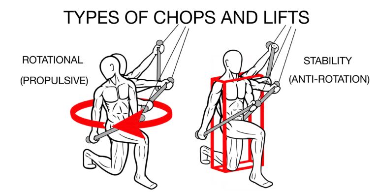 PreHab Exercises - Types of Chops and Lifts - Prehab Exercises