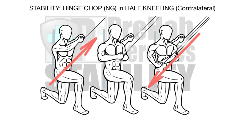 Stability - Hinge Chop (NG) in Half Kneeling (Contralateral) - Prehab ...