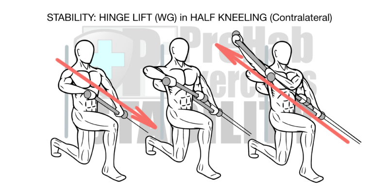 Stability - Hinge Lift (WG) in Half Kneeling (Contralateral) - Prehab ...