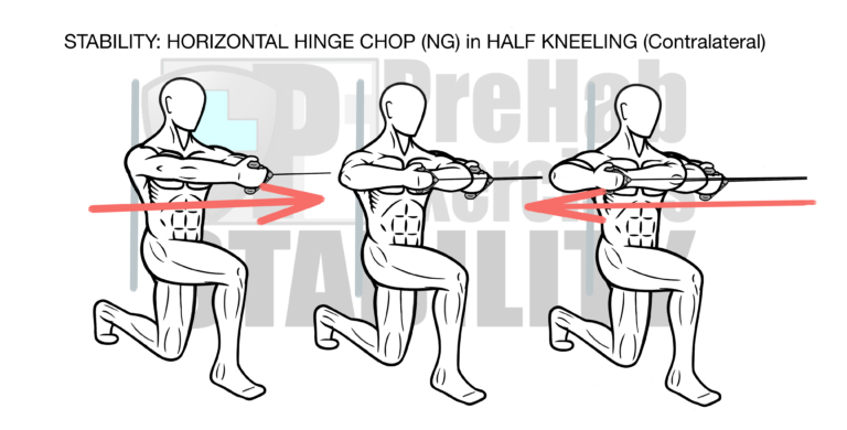 Stability - Horizontal Hinge Chop (NG) in Half Kneeling (Contralateral ...